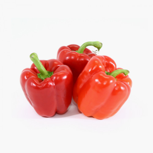Capsicum Red Iran 500g